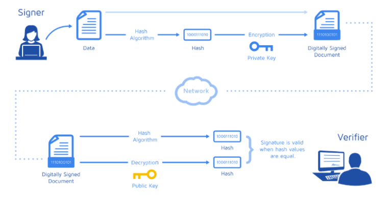 Our Expert Guide to Electronic Signatures vs. Digital Signatures