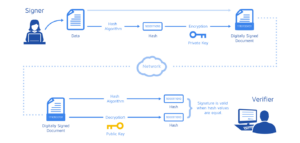 Our Expert Guide to Electronic Signatures vs. Digital Signatures